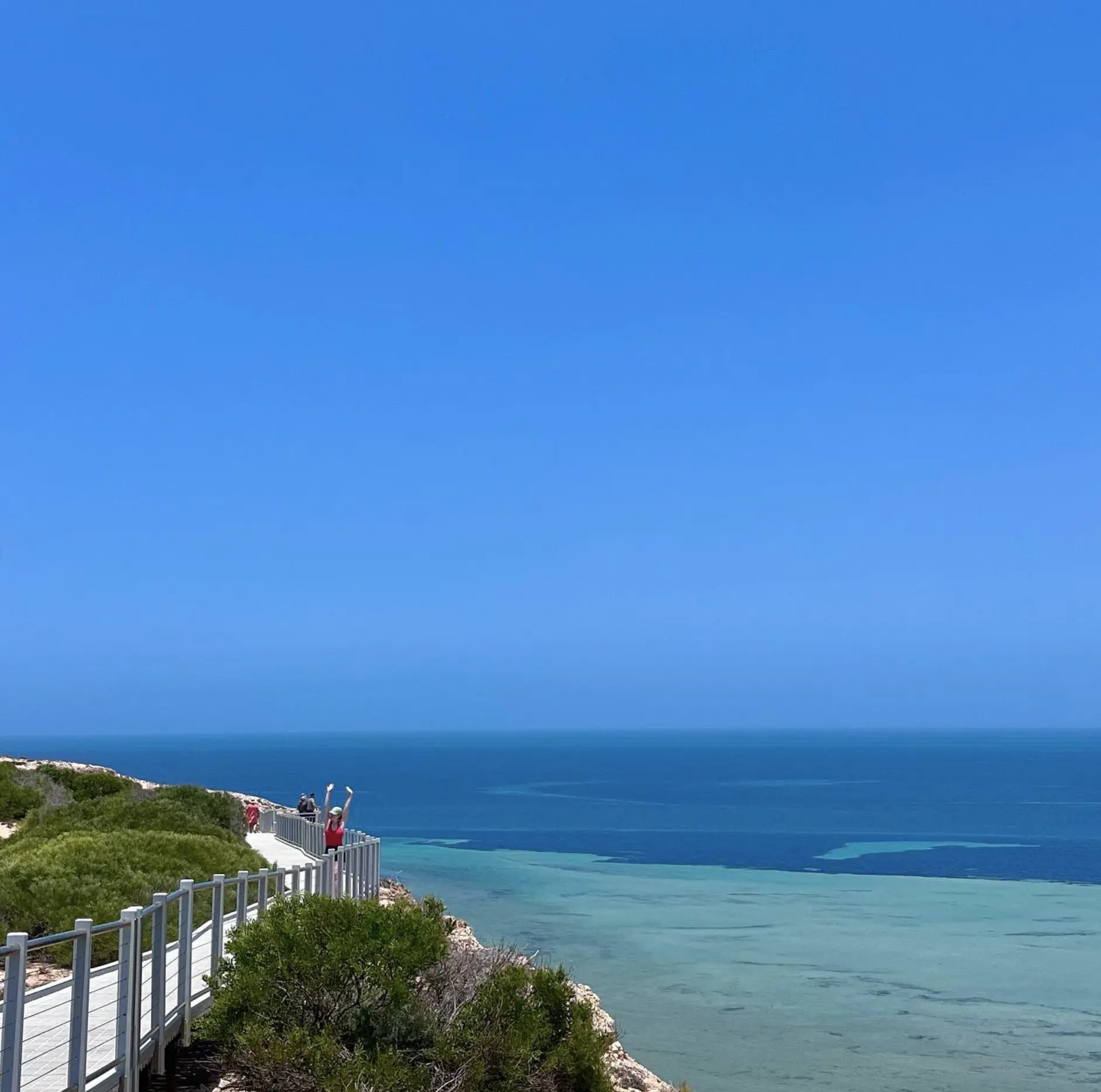 Explore Eagle Bluff: Shark Bay Scenic Wildlife Lookout